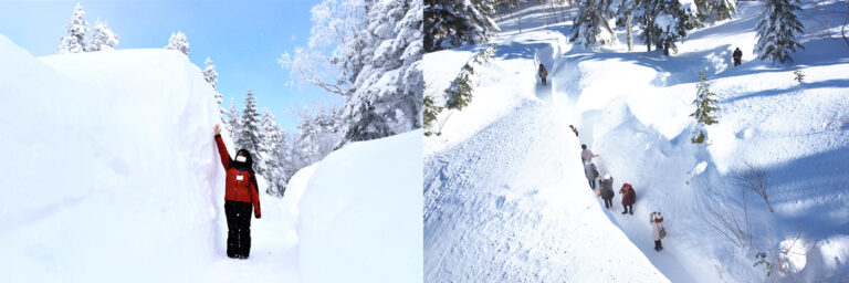 雪の回廊 | 【公式】高山でドライブ・観光におすすめのスポット｜新穂高ロープウェイ